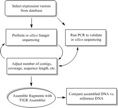 Flowchart Describing The Methodology Used To Model Shotgun Sequencing
