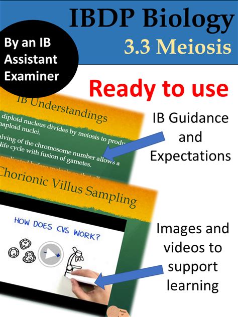 Ib Biology Topic 33 Meiosis Teaching Resources