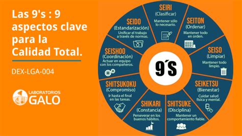 Las 9 S By Danny Rojas On Prezi