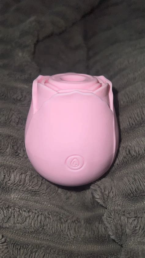 The Ultimate Guide For Rose Toy Users Everything You Need To Know