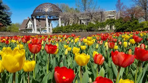 Sunken Gardens Announce University Of Nebraska Lincoln