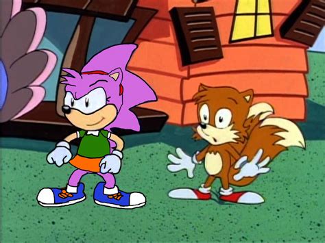 If Amy Was In The Adventures Of Sonic The Hedghog By Ruensor On Deviantart