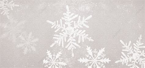 Winter Background Winter Background Cold Background Image For Free