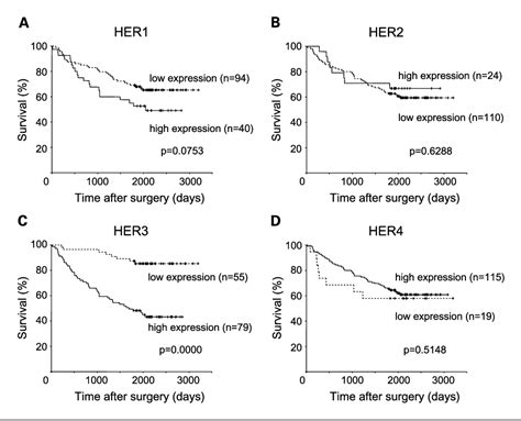 Table 1 From High Expression Of Her3 Is Associated With A Decreased