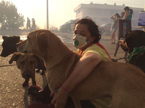 Efrain Vasquez Drefravasquez Twitter