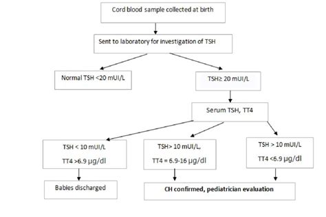 Flowchart For Screening Of Congenital Hypothyroidism The Diagnostic Of