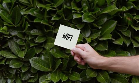 Fixing Wifi Connectivity On Nvidia Jetson Nano The Perfec