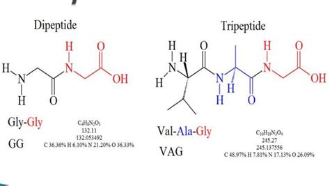 Dipeptide Diagram