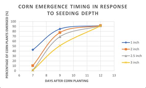 How Deep Should Corn Be Planted Purdue University Pestandcrop Newsletter