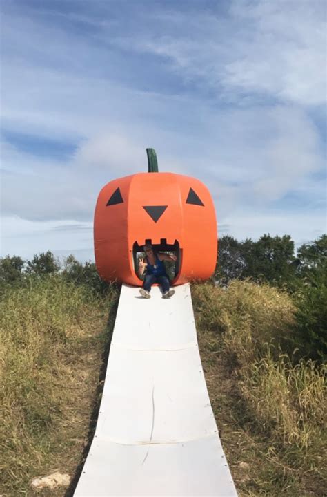 The Kc Pumpkin Patch Is The Perfect Fall Activity For Families