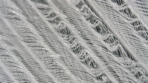 Conservation Challenges Amnh