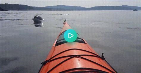don t move on imgur