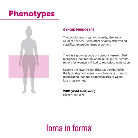 Mediplant The Gynoid Type Or Gynoid Obesity Also Known Facebook
