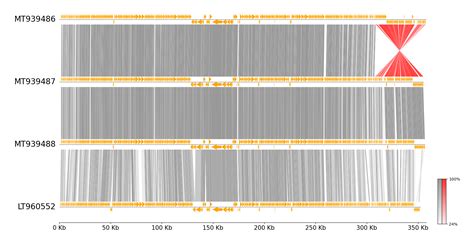 Pgv Mmseqs Pygenomeviz