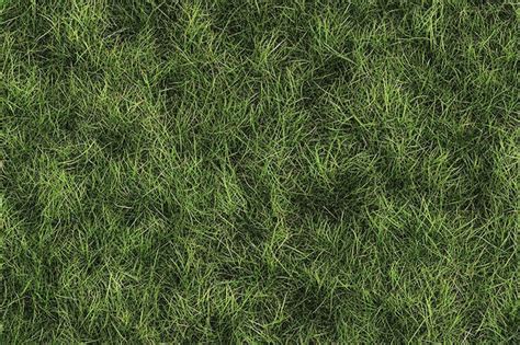 Page 9 16k Grass Texture Seamless Images Free Download On Freepik