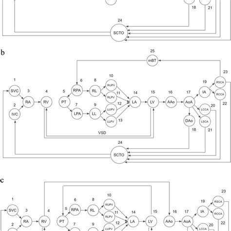 Binary Adjacency Matrices Of A The Normal Heart B Extreme Tof