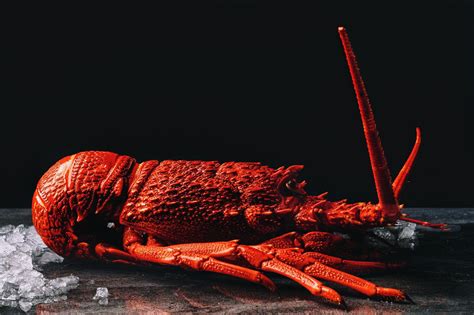 Crayfish Whole Cooked Planet Seafood Buy Local Australian Seafood