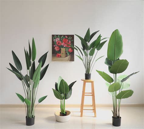 Decorative Home Hotel Trees Traveler Banana Tree Decorative Tree And