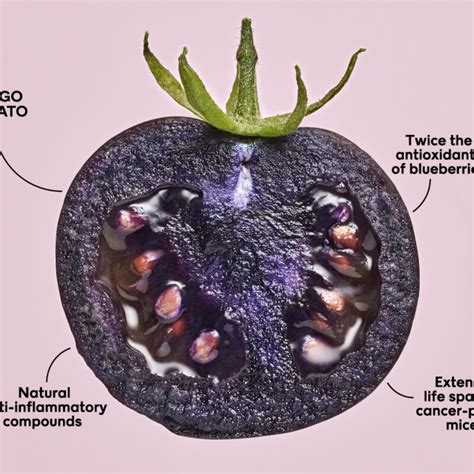 Genetically Modified Soybeans Process