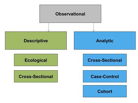 5 Analytical Epidemiology Observational Studies Diagram Quizlet