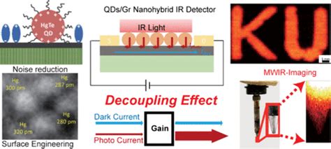 Decoupling Of Photocurrent And Dark Current For Extraordinary Detectivity In Uncooled Middle