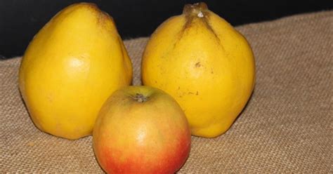 Foods With Pome Fruits From A To Z