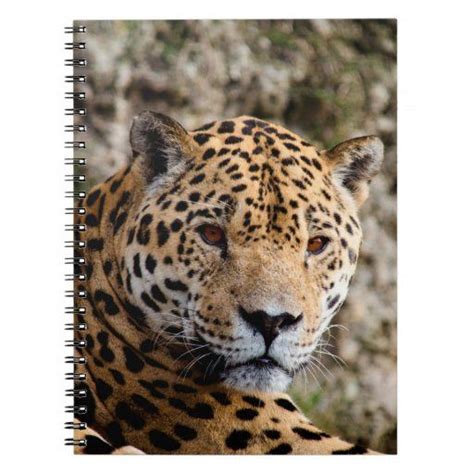 Jaguar Notebook Zazzle Jaguar Planner Animals