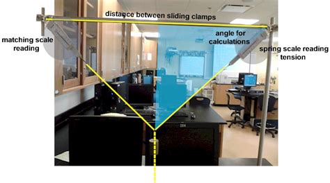 PhysicsLAB Static Equilibrium Lab