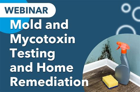 Mold And Mycotoxin Testing And Home Remediation At Real Time Laboratories Realtime Labs