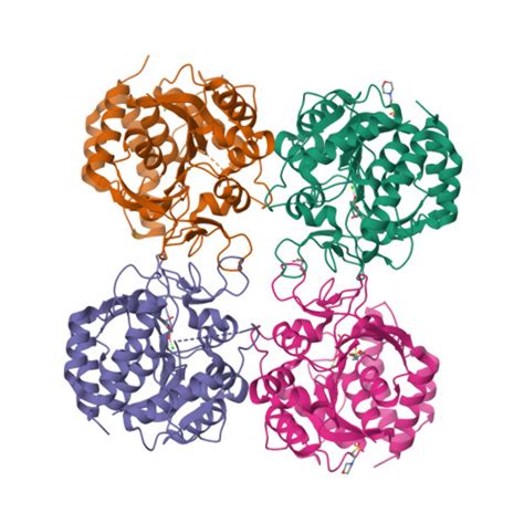 Rcsb Pdb 8ctm Crystal Structure Of The Nucleoside Hydrolase From