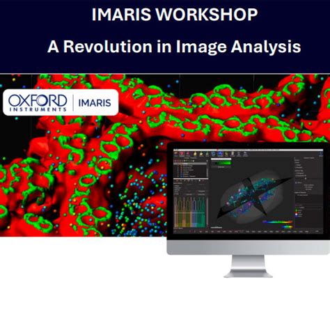 Imaris Workshop A Revolution In Image Analysis Idibell