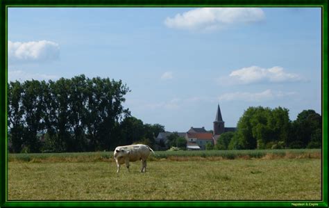 Brye Napoléon And Empire