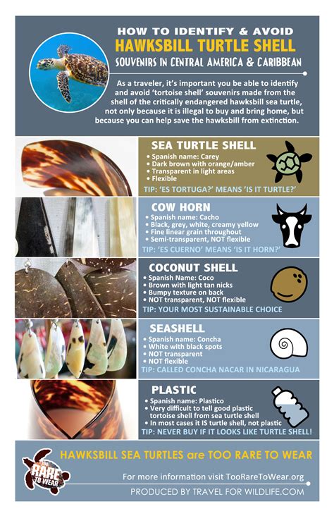 How To Identify And Avoid Sea Turtle Shell Souvenirs Travel For Wildlife