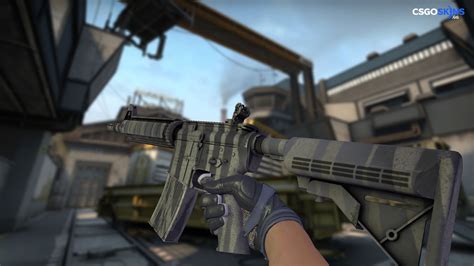M4a4 Faded Zebra Csgoskinsgg