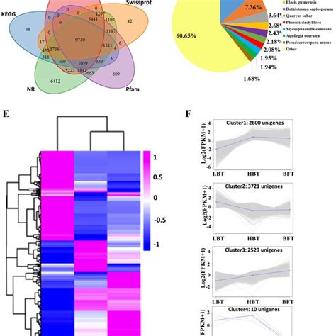 Transcriptome Assembly Annotation Results And Identification Of The