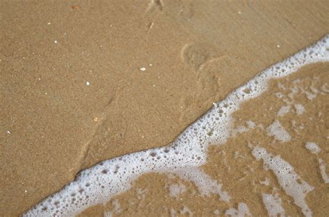 Dsc 1453 Lisa Munzer Flickr