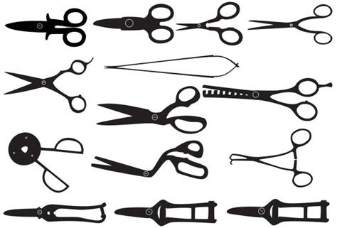 Top 60 Sheep Shearing Clip Art Vector Graphics And Illustrations Istock Top 60 Sheep Shearing Clip Art Vector Graphics And Illustrations Istock