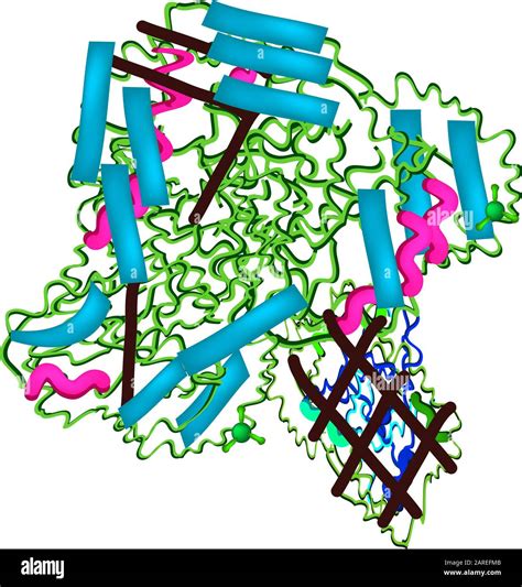 Lipase Enzyme 3d Structure