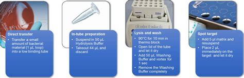 Workflow Of The Mbt Lipid Xtract™ Kit One Colony Is Transferred In A