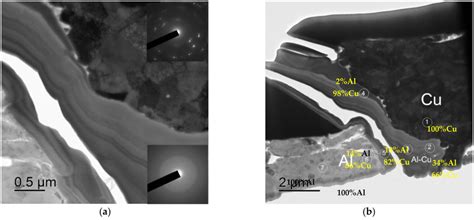 The Results Of The Electron Microscopy Investigations Of The Interphase