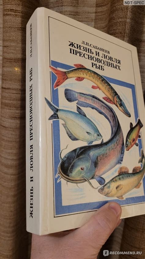 Жизнь и ловля пресноводных рыб, Сабанеев - «Легендарная библия рыболова ...