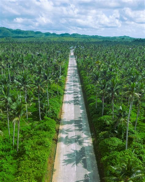 Coconut Road Siargao The Shot Everyone Wants 2026