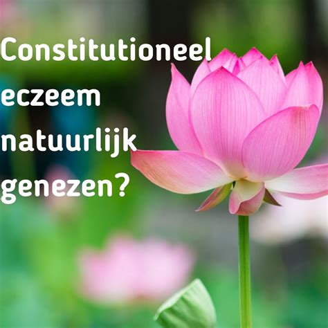 Constitutioneel Eczeem Natuurlijk Genezen