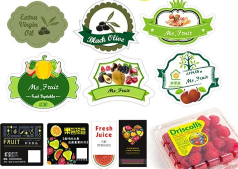 Classification Of Adhesive Materials