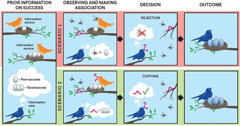 A Schematic Illustration Showing The Process Of Selective Information Download Scientific