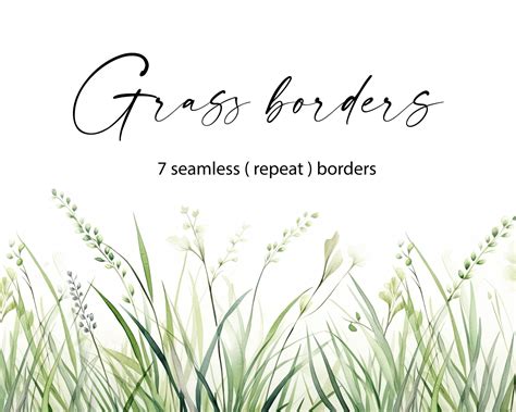 Grass Seamless Borders Wild Herbal Clipart Field Plants Endless