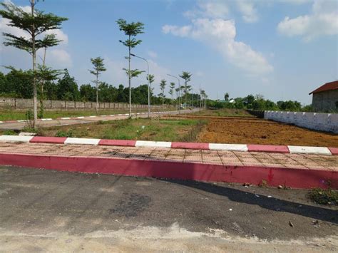 Còn 1 Lô Duy Nhất Tại La Gián Cổ Đông Sơn Tây 100m2 Mt 5 5m Giá F0 Hấp