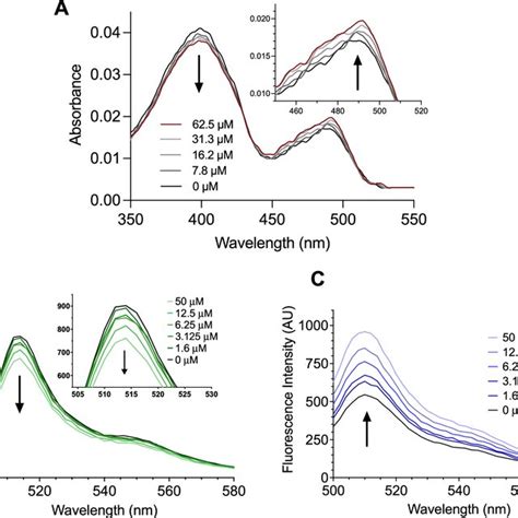 A Representative Absorption Spectra For Cpgfphlfabp 2 μm Spectral