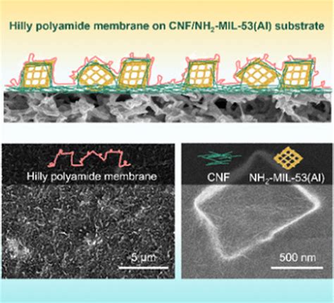 Robust Hilly Polyamide Membrane For Fast Desalination Acs Applied