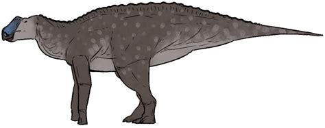 Gryposaurus New Ideas By Matt Weaver Wiki Fandom